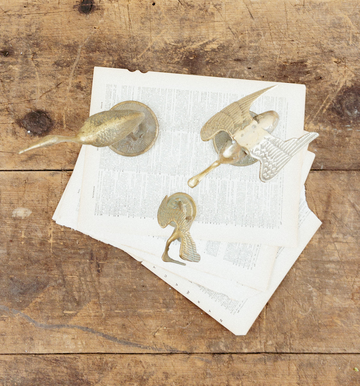Antique Brass Bird Collection | minnesotarust
